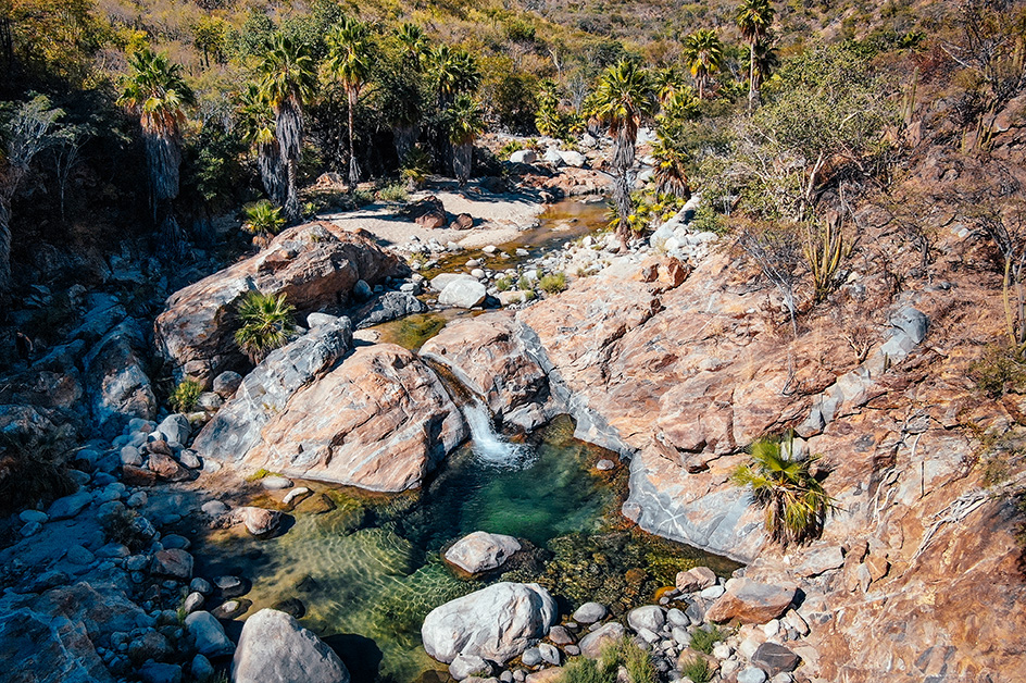 Desert Oasis Swim & Trek Adventure | Esperanza