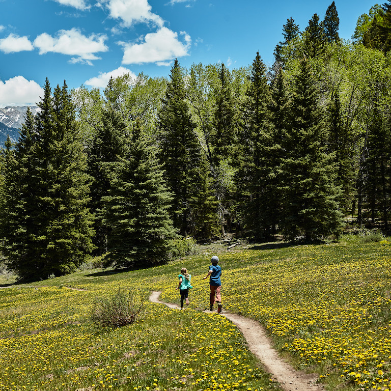 Hotel Jerome | Aspen, Colorado Luxury Hotel | Auberge Collection