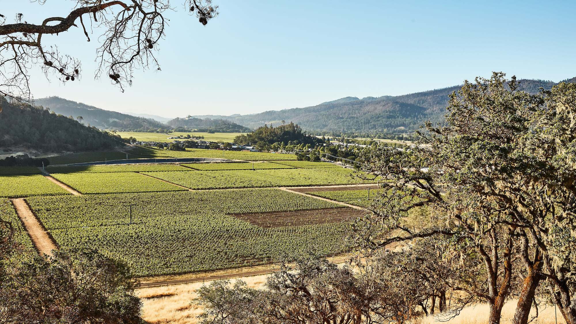 Detox, Retox, and Repeat Road Trip Itinerary | Solage