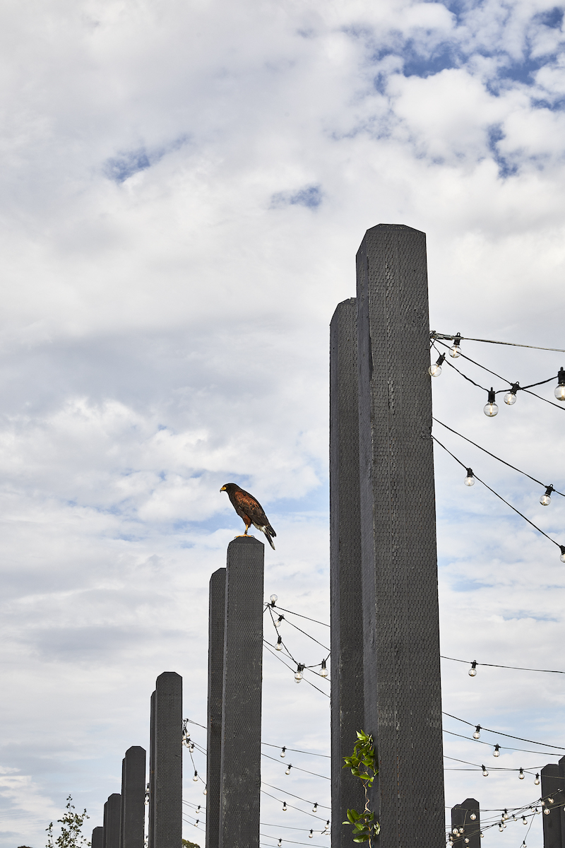 Resort - Stanly Ranch