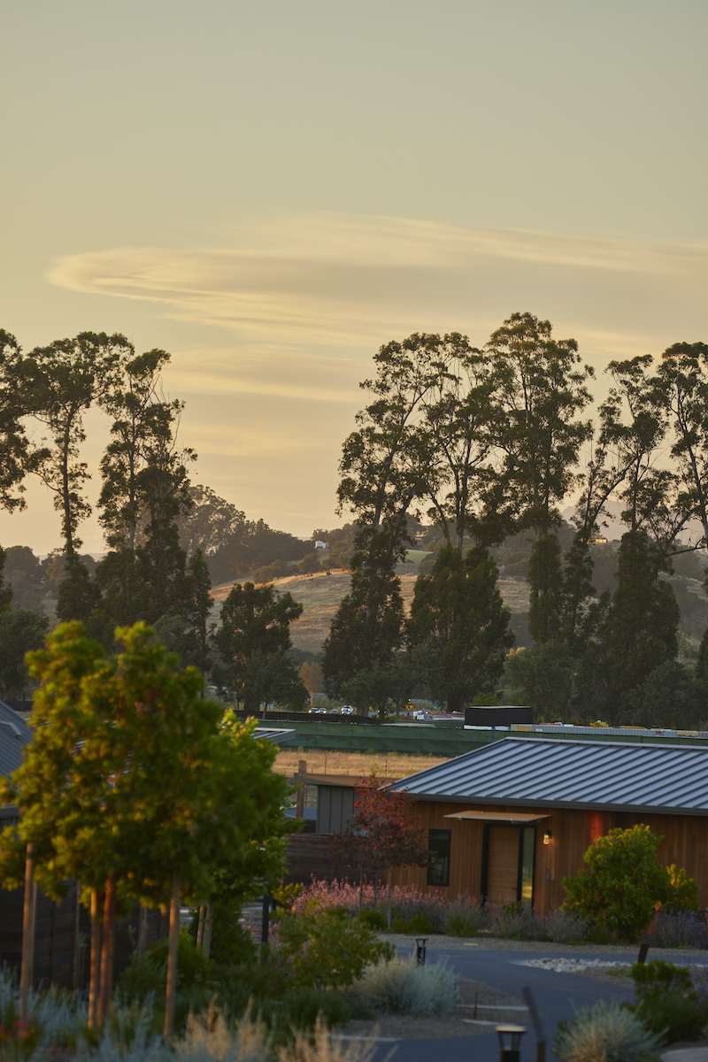 Resort - Stanly Ranch