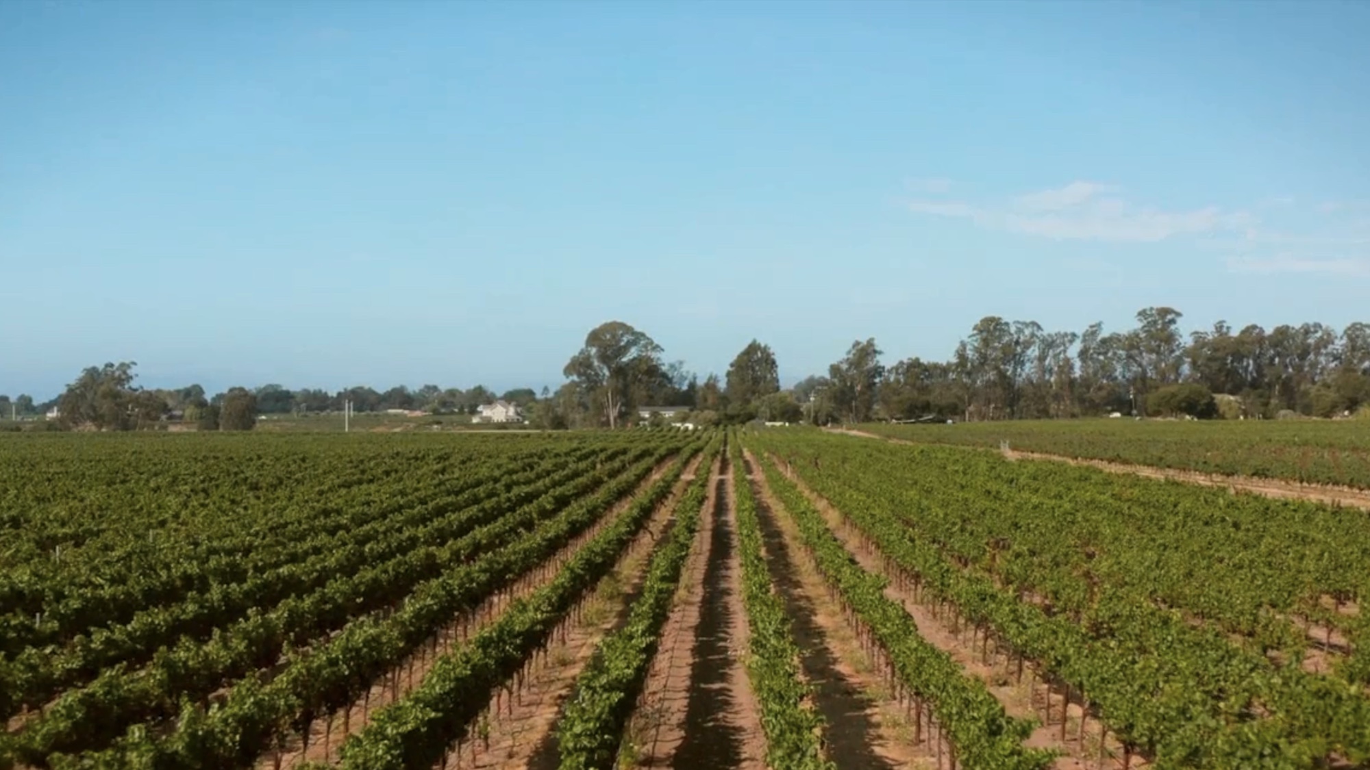 Resort - Stanly Ranch