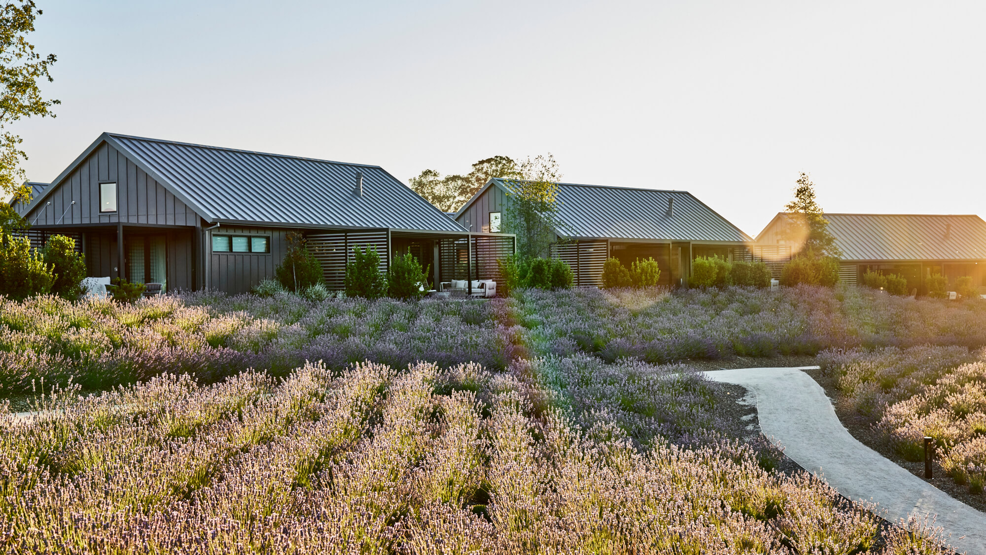 Stanly Ranch | Luxury Hotel and Resort in Napa Valley, California