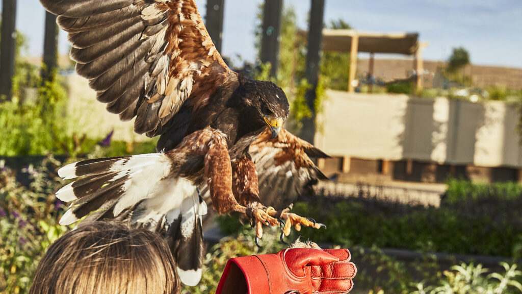 The Bloom Room - Stanly Ranch
