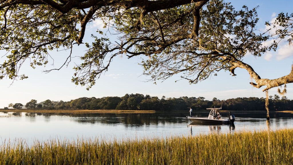 Location, Directions and Travel Information | The Dunlin