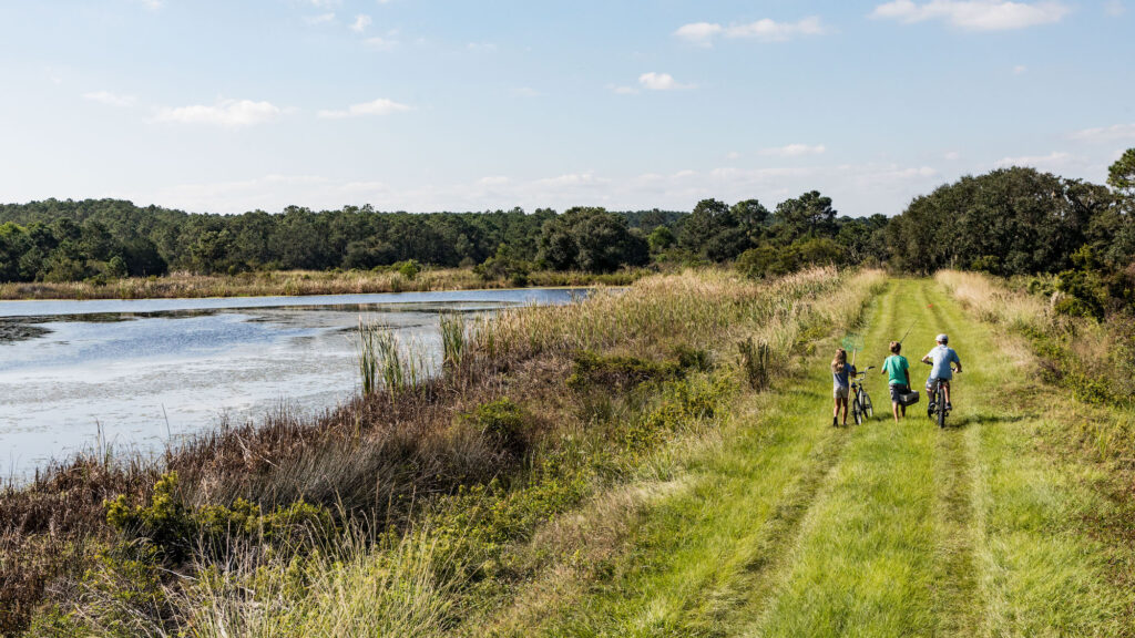The Dunlin, Luxury Resort | Auberge Resorts Collection, South Carolina