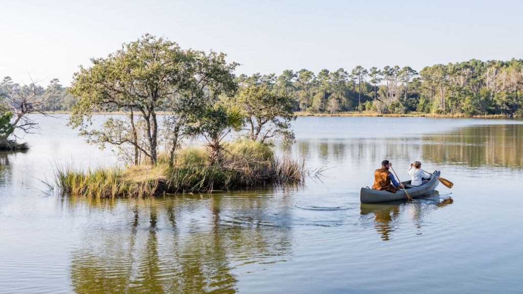 Getting Here – The Dunlin
