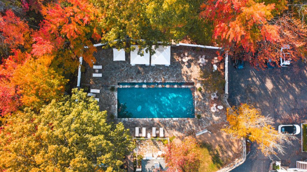 Seasonal Dining & Culinary Experiences in Maine | White Barn Inn