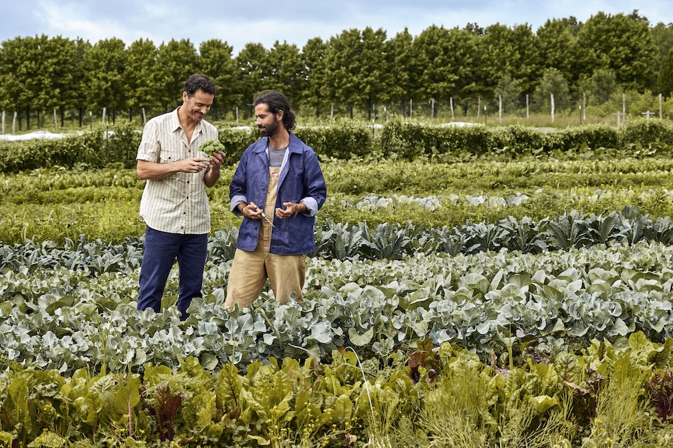 Hudson Valley Farm-to-Table Dining | Wildflower Farms
