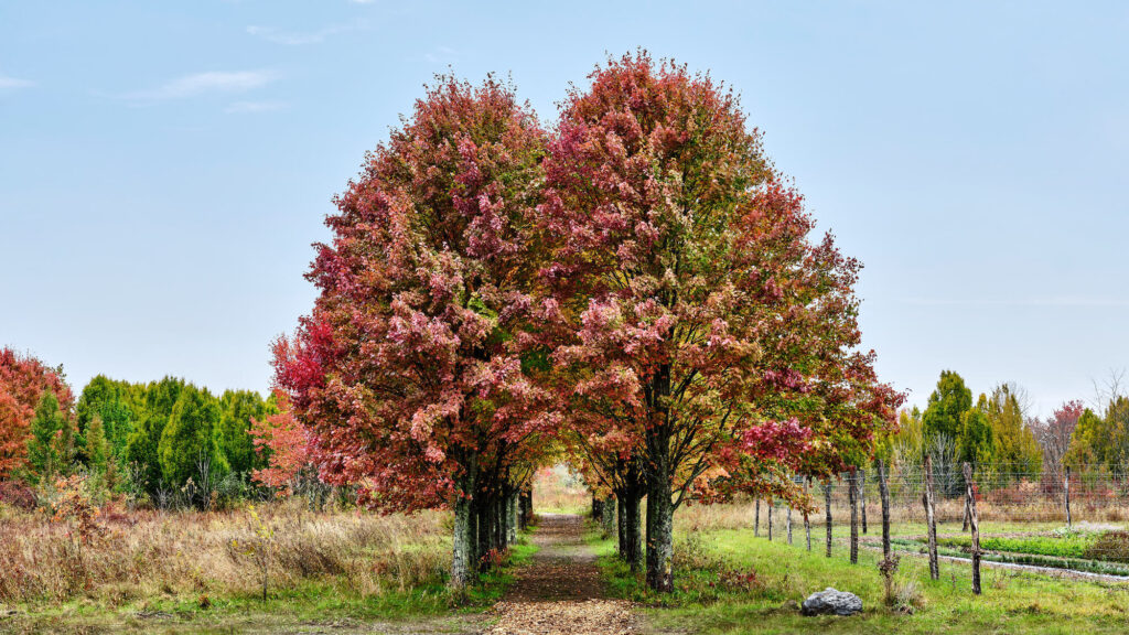 Directions to Wildflower Farms in Hudson Valley